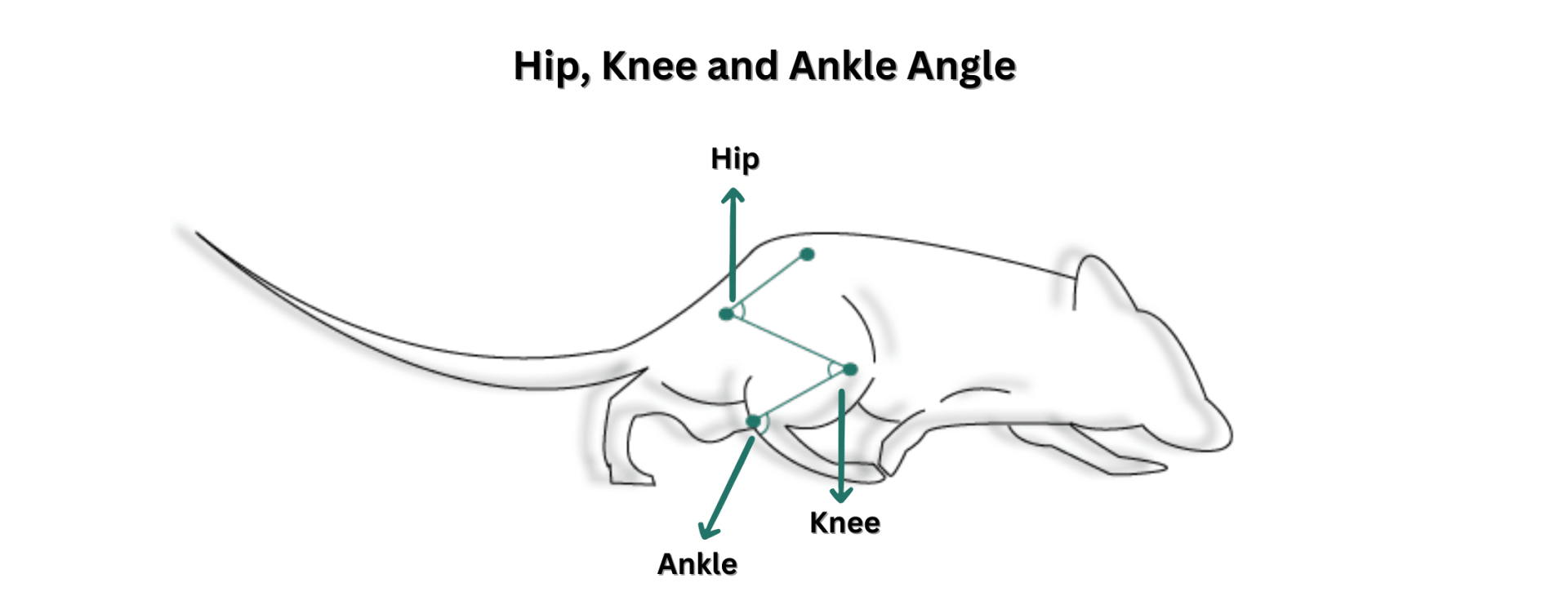 Go beyond and make your research much more data-rich and clinically ...