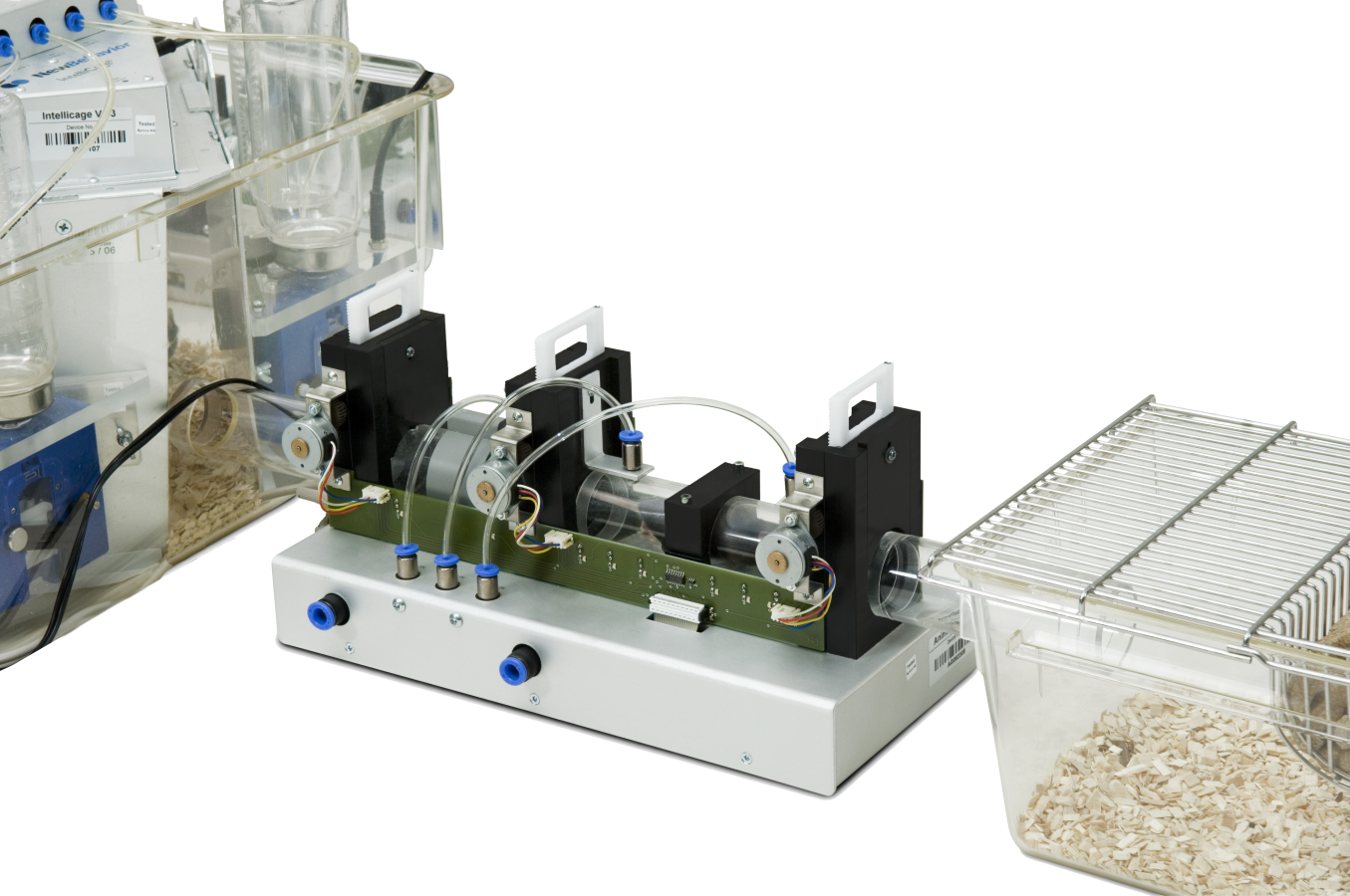 PhenoWorld: Tailored Phenotyping for Mice and Rats