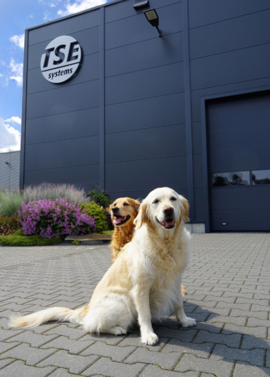 About TSE Systems: who we are, our team and our office - TSE Systems