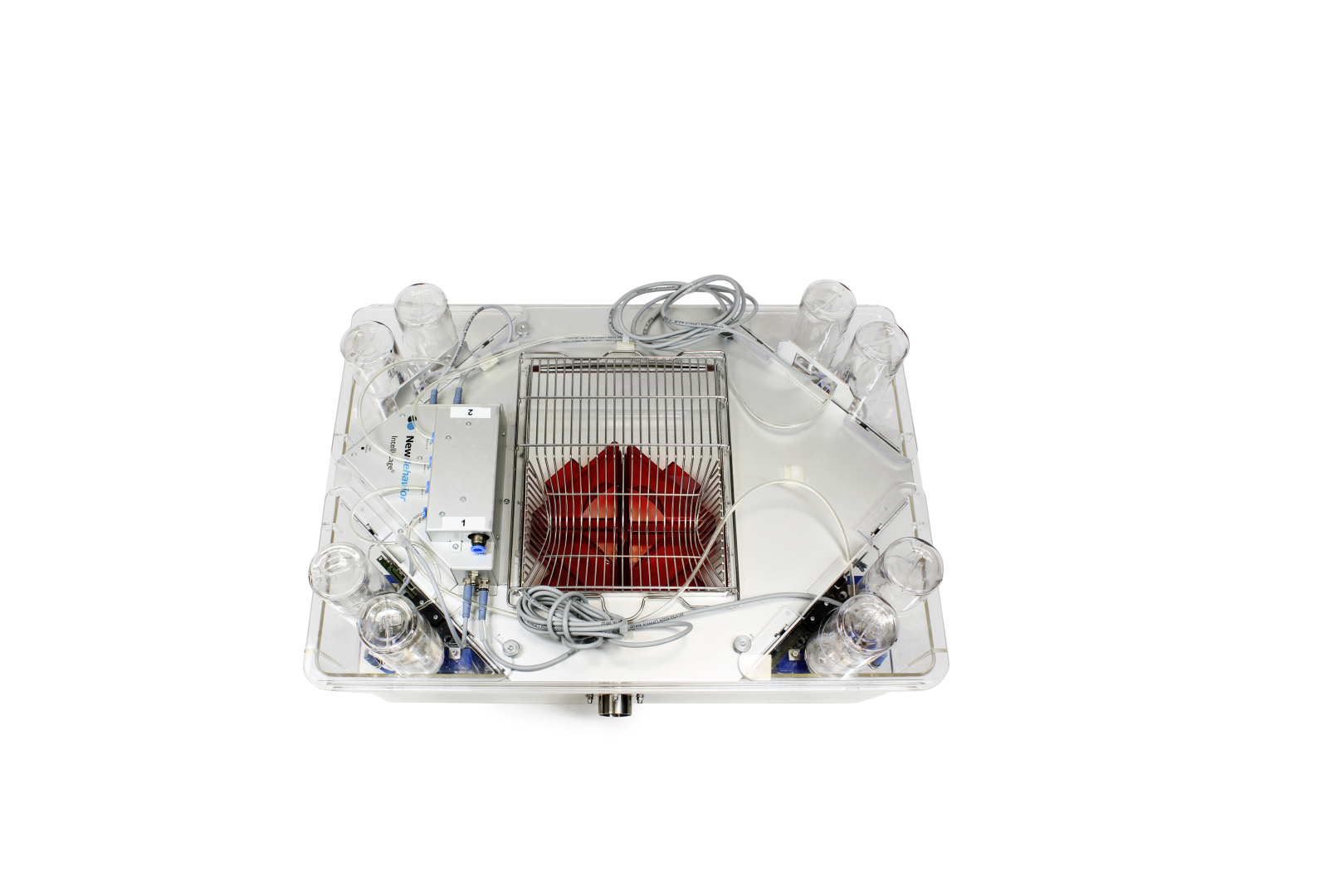 IntelliCage: The Future of Cognitive Performance Assessment - TSE Systems