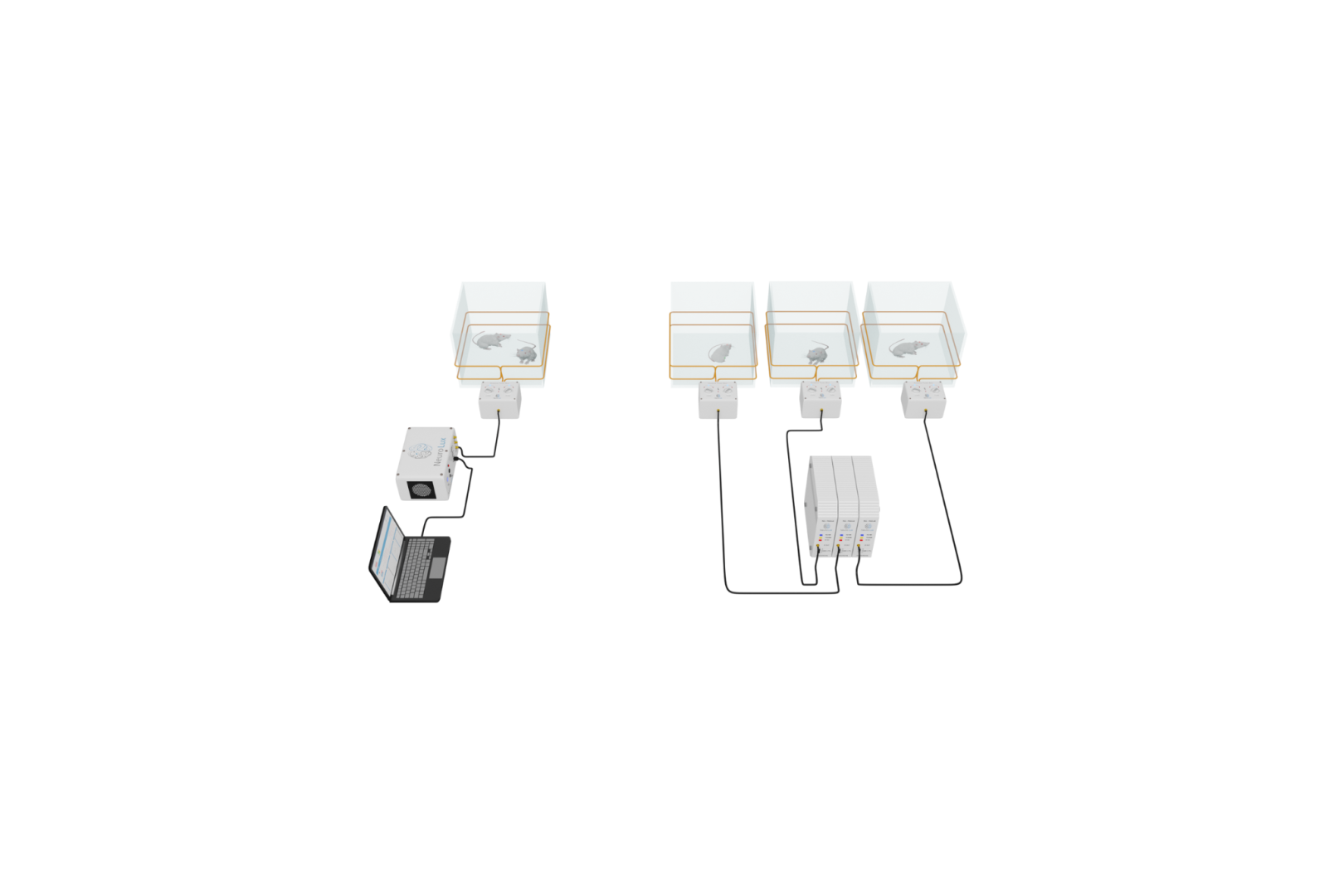 Neurolux: A High-Throughput Solution for Neuroscientific Research - TSE ...