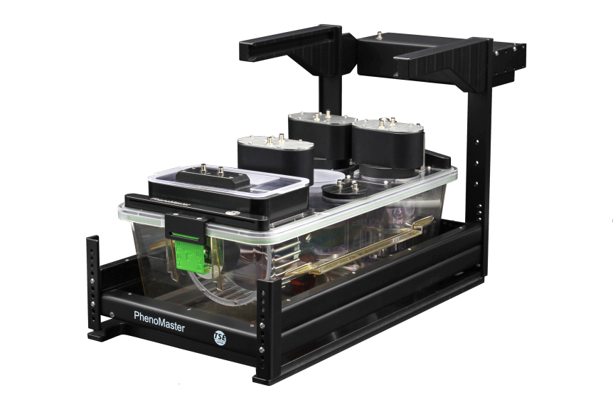 IntelliCage: The Future of Cognitive Performance Assessment - TSE Systems