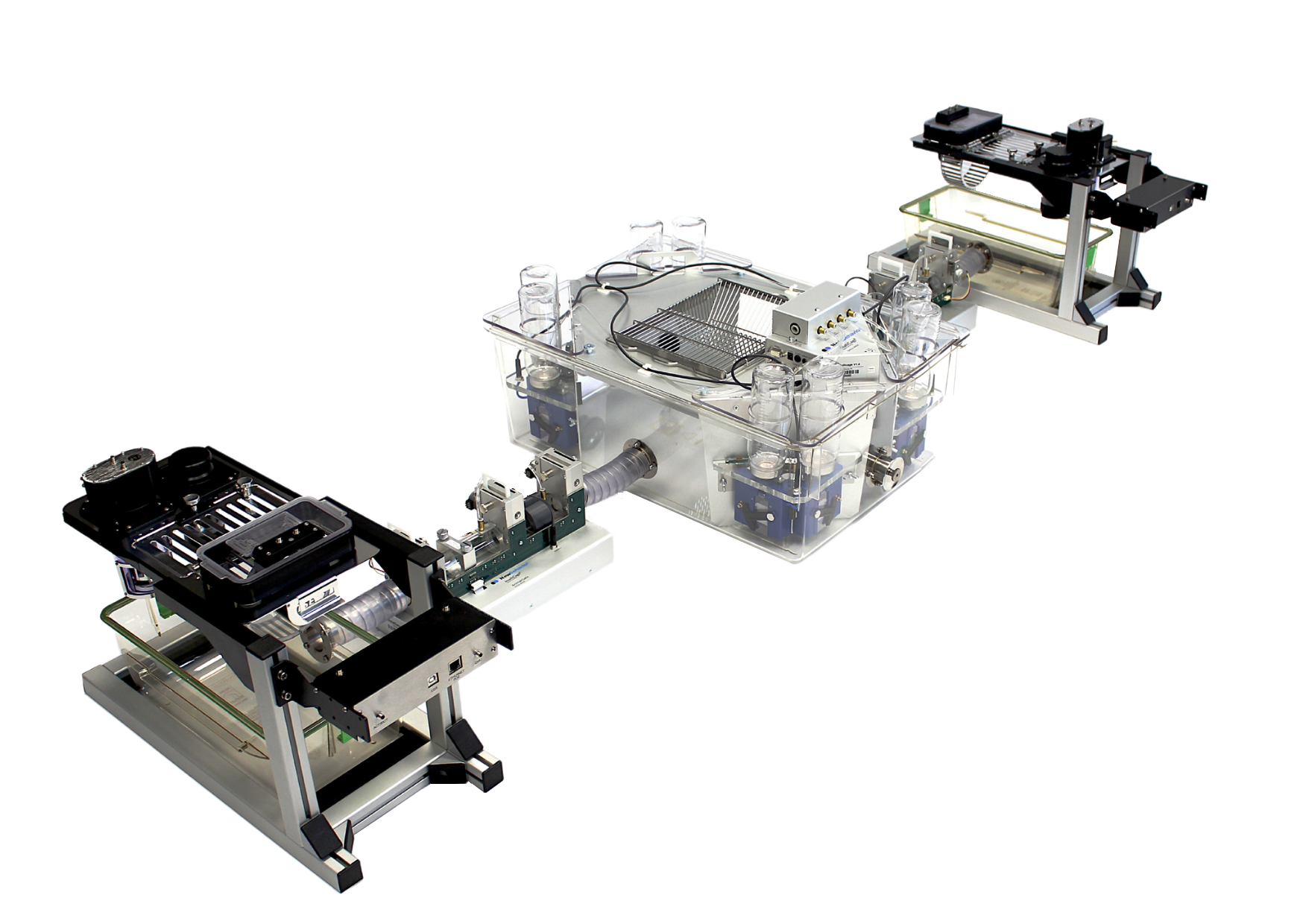 PhenoWorld: Tailored Phenotyping for Mice and Rats