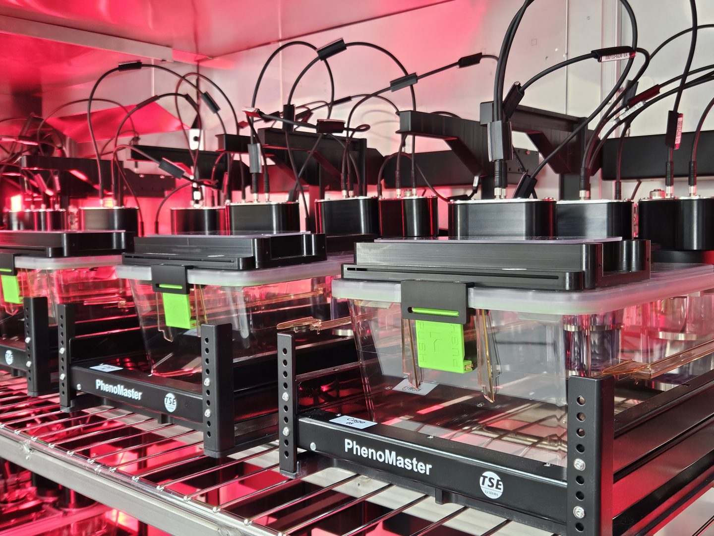 Climate Chamber Cabinets for Environmental Control - TSE Systems