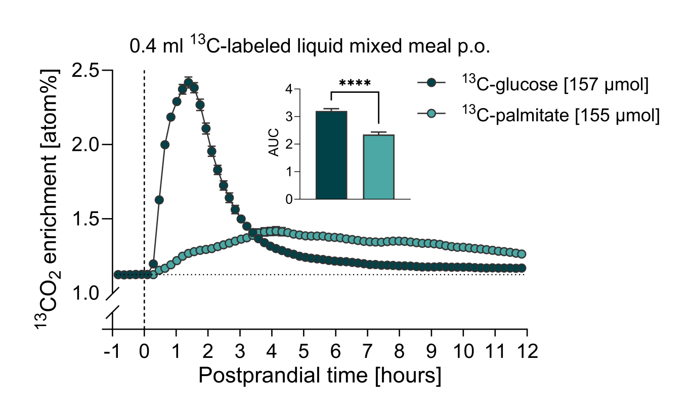 Metabolic Analysis: Integrating Stable Isotope Tracing - TSE Systems