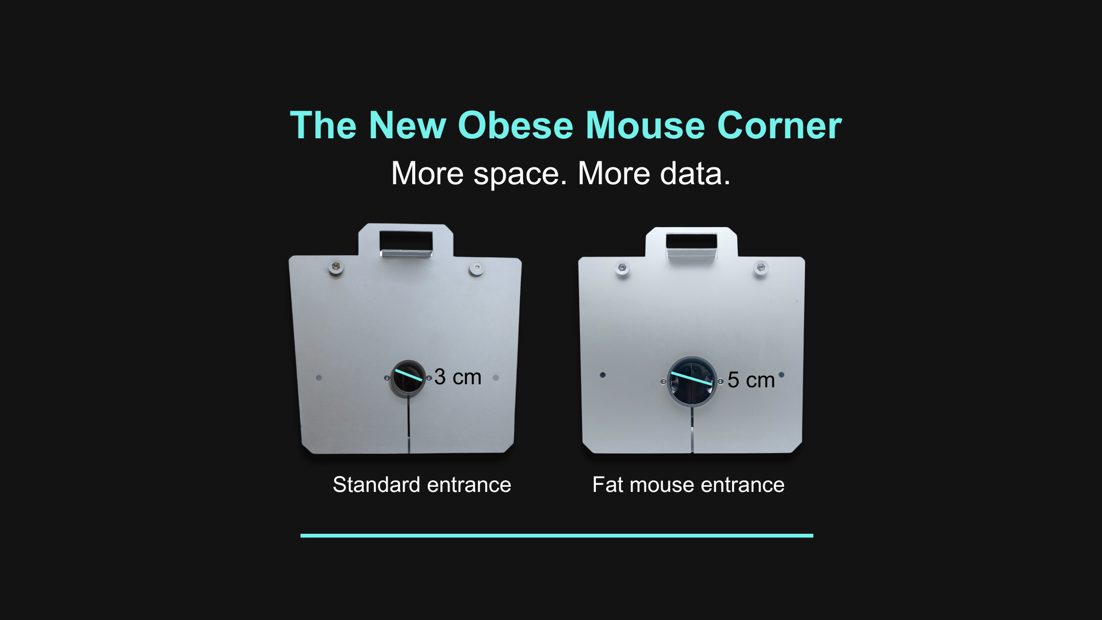 Delving Deeper: IntelliCage Fat Mouse Corner and its Impact on Obesity ...